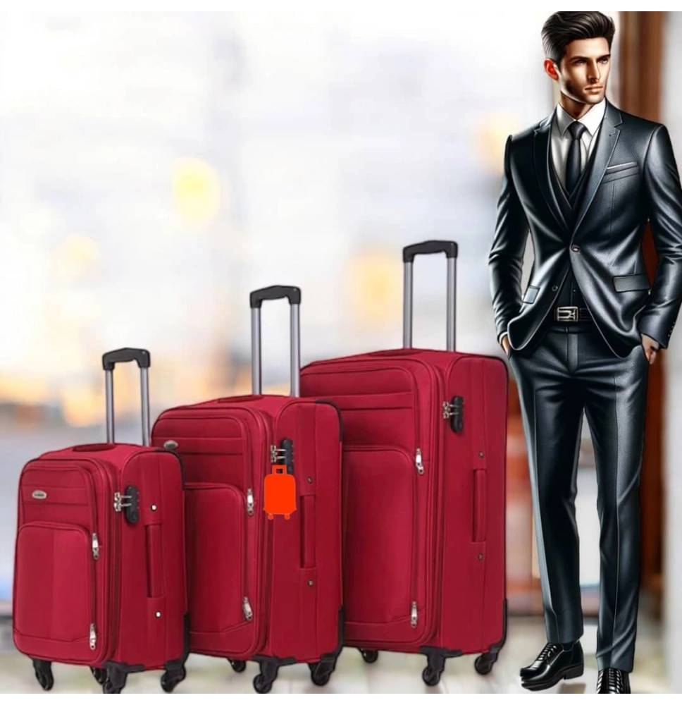 Valises